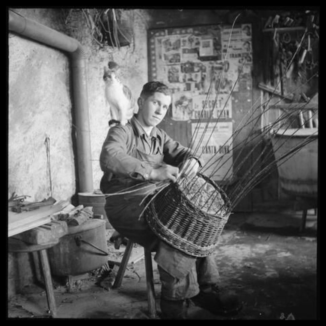 Voir le monde à travers les yeux de Gustave Roud - BCUL